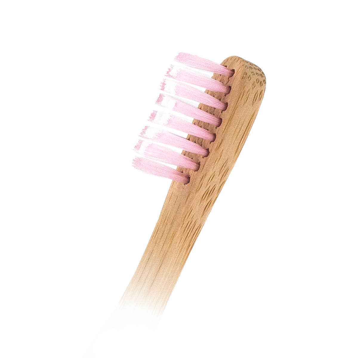 Collections – Gleam Toothbrush